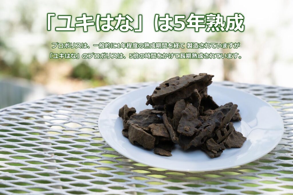 YUKIHANA Brazilian green propolis | Gadget Japan
